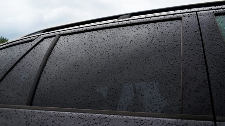 カーディテーリングとは - カーポリ